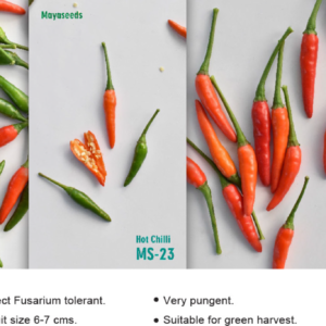 Seeds - THE MAURITIUS CO-OPERATIVE AGRICULTURAL FEDERATION LTD