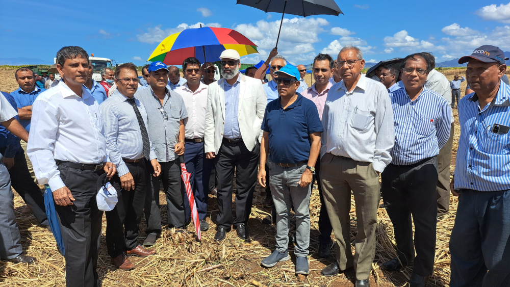Phase II of the Mechanical Sugarcane Harvest Project - THE MAURITIUS CO ...